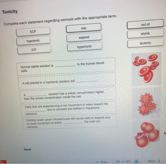 Solved Tonicity Complete each statement regarding osmosis | Chegg.com