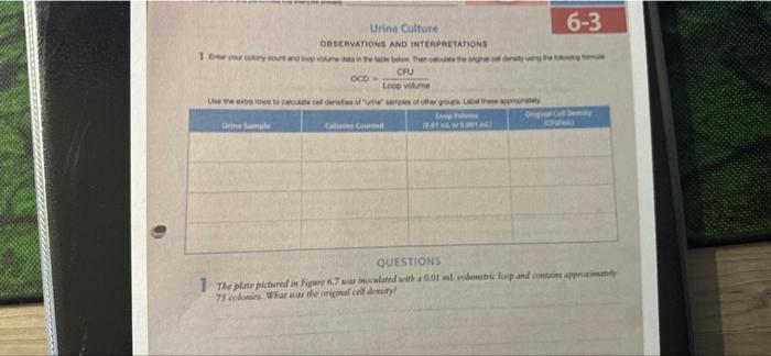 Solved Urine Culture OBSERVATIONS AND INTERPRETATIONS 1 | Chegg.com