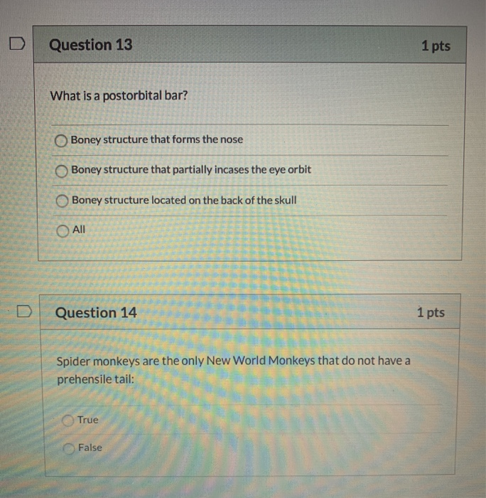 Solved Question 13 1 pts What is a postorbital bar? Boney | Chegg.com