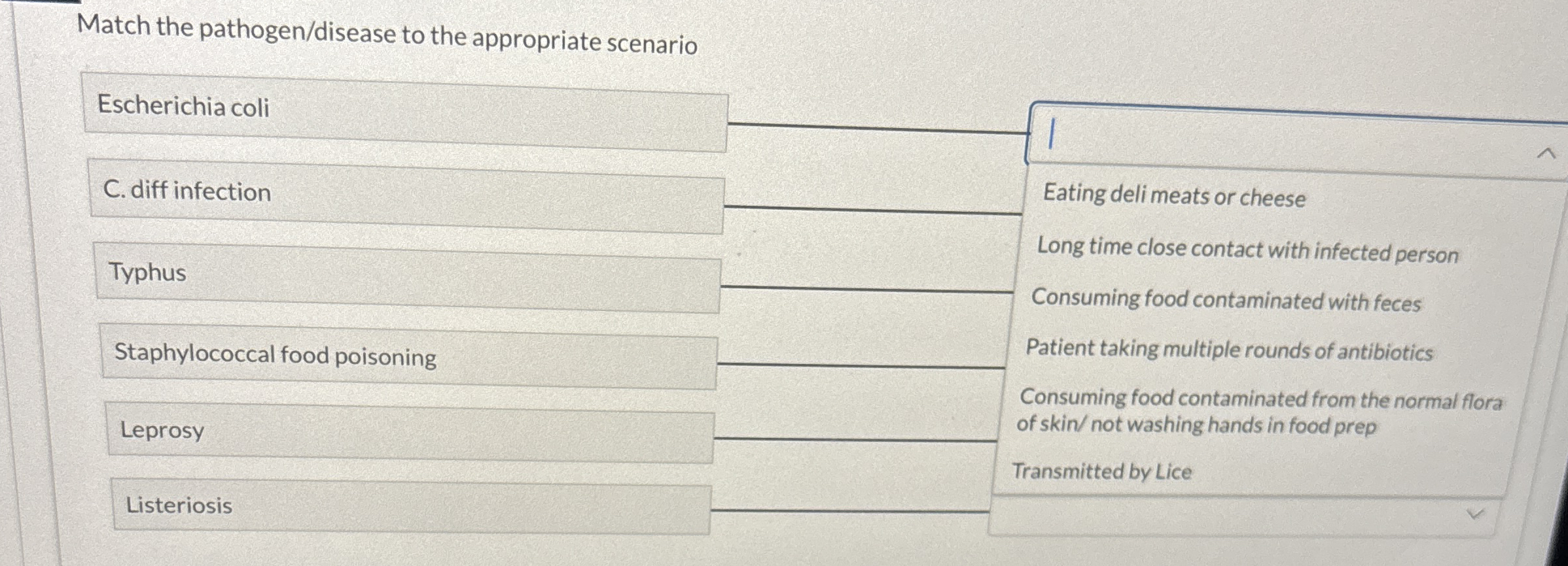 Solved Match the pathogen/disease to the appropriate | Chegg.com