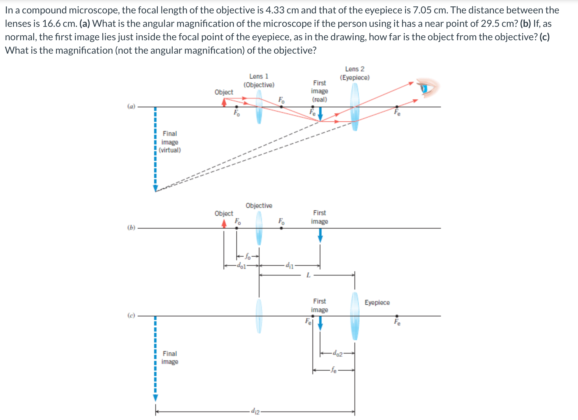 Solved In a compound microscope, the focal length of the | Chegg.com