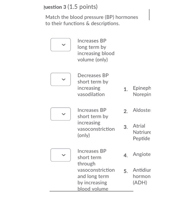 Solved question 3 (1.5 points) Match the blood pressure (BP) | Chegg.com