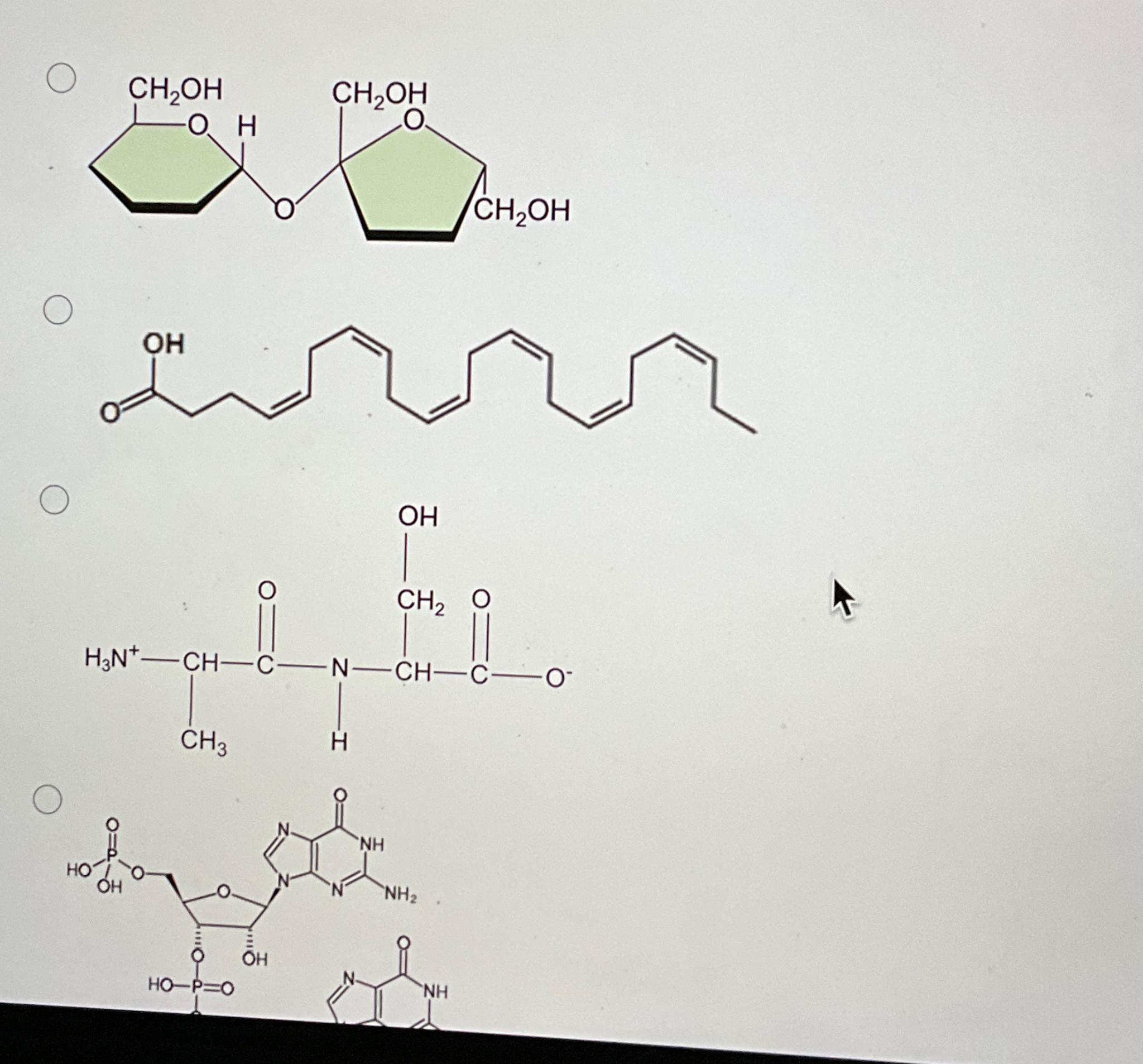 Solved Which is a product of translation? | Chegg.com