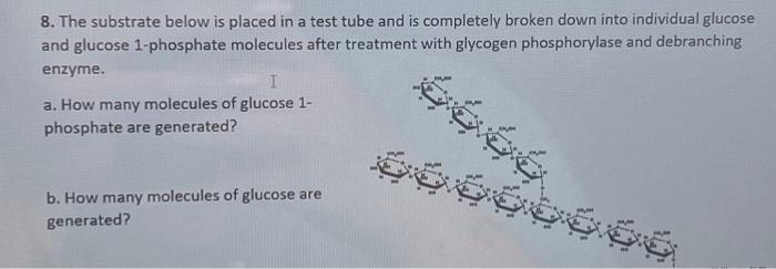 Solved 8. The substrate below is placed in a test tube and | Chegg.com