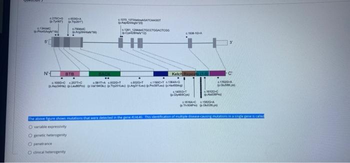Chestin. €7700-G 6000-A Ty in 201¹) 134 Prol N €7900 | Chegg.com