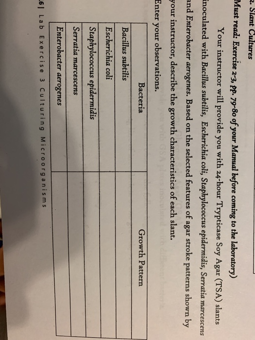 2. Slant Cultures Must read: Exercise 2-3, pp. 79-80 | Chegg.com