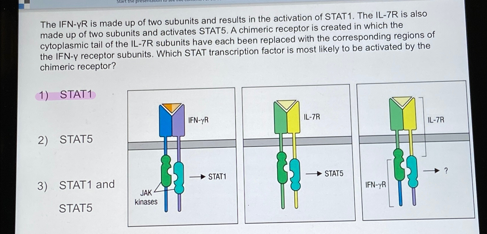 Solved The IFN-YR is made up of two subunits and results in | Chegg.com