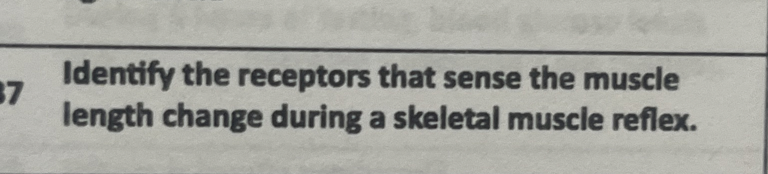 Solved Identify the receptors that sense the musclelength | Chegg.com