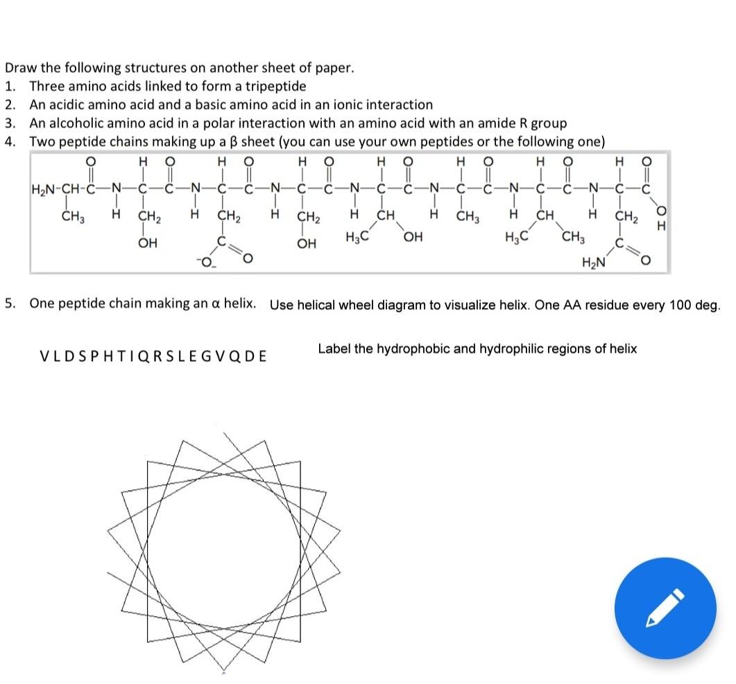 Solved H3C H₂N NH₂ HN CH3 О C CH SH CH-NH CH C HN H₂N NH₂ Н | Chegg.com