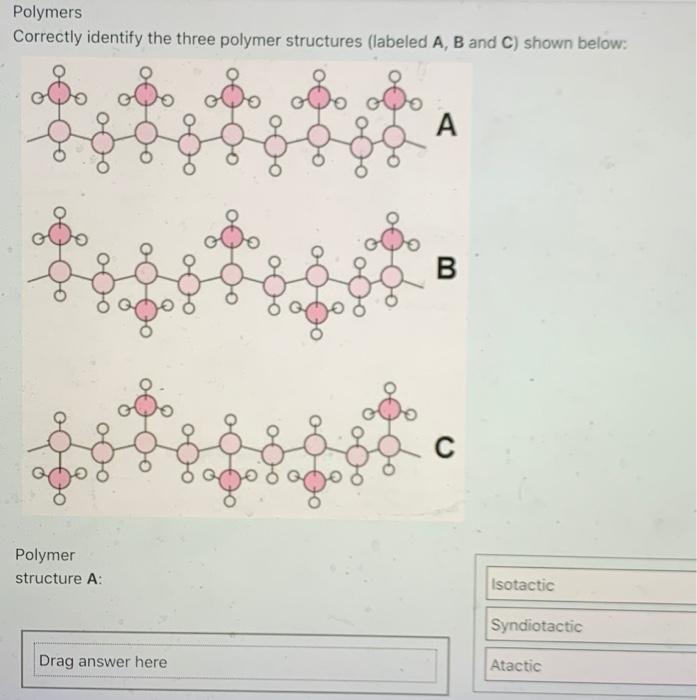 Solved Polymers Correctly identify the three polymer | Chegg.com