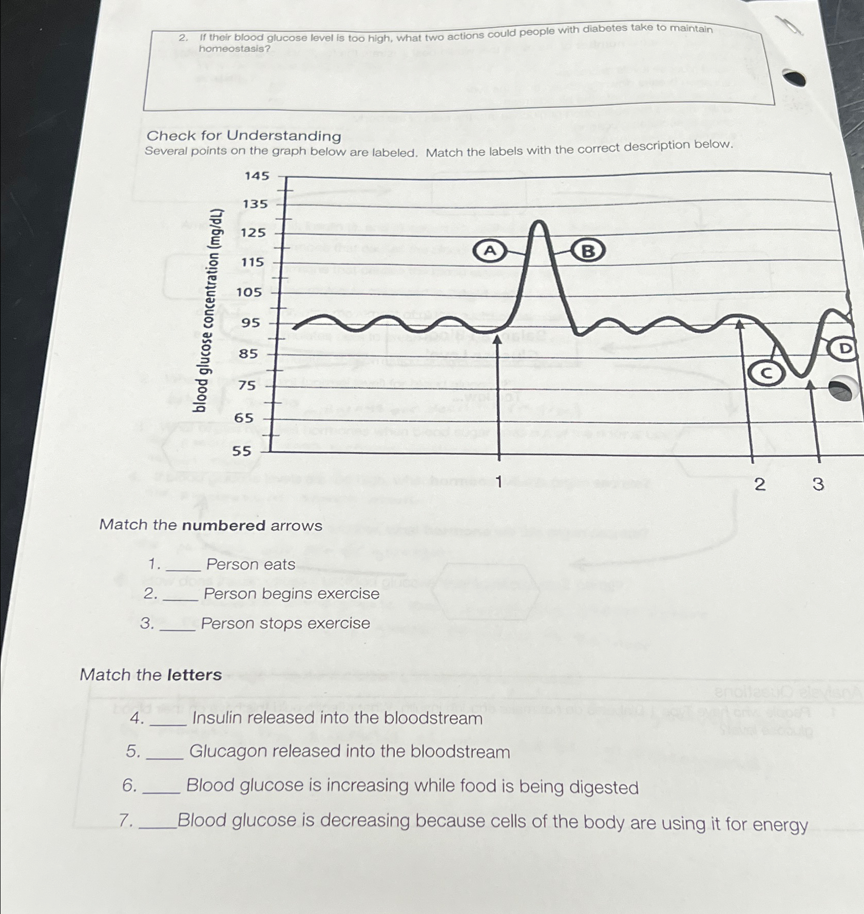 Solved Check for UnderstandingSeveral points on the graph | Chegg.com