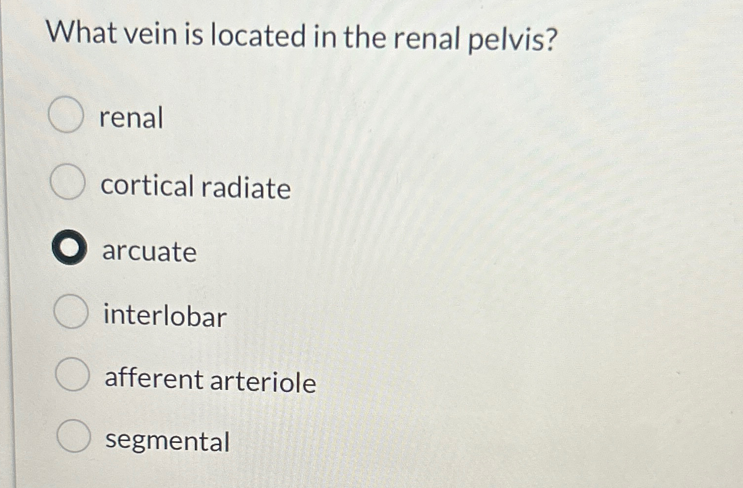 Solved What vein is located in the renal | Chegg.com