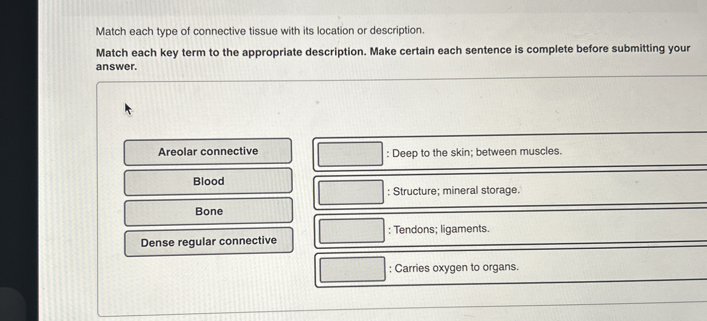 Solved Match each type of connective tissue with its | Chegg.com