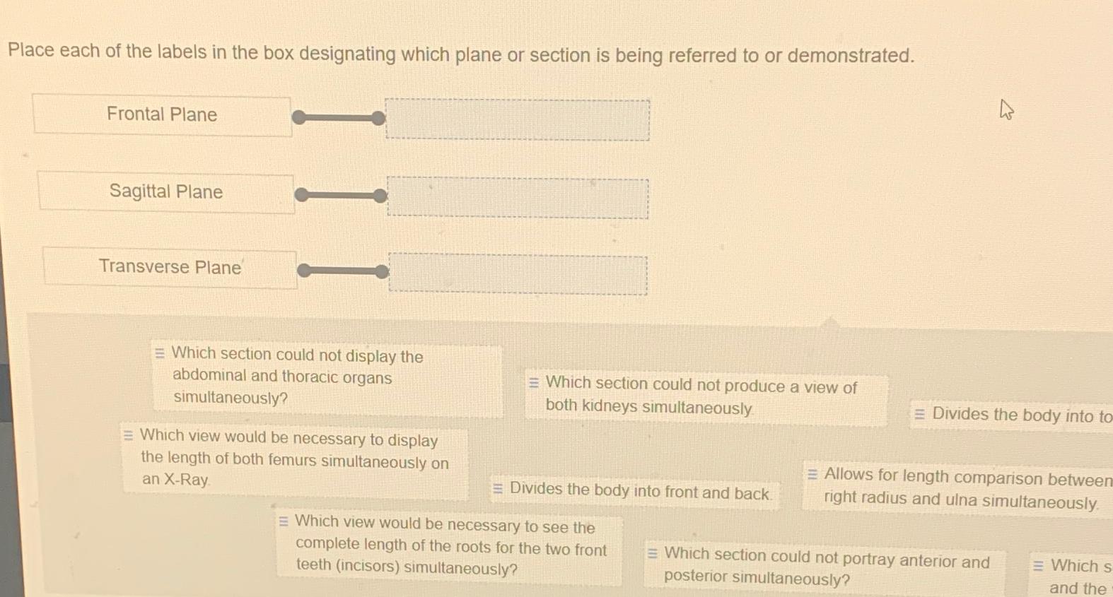 Solved Place each of the labels in the box designating which | Chegg.com