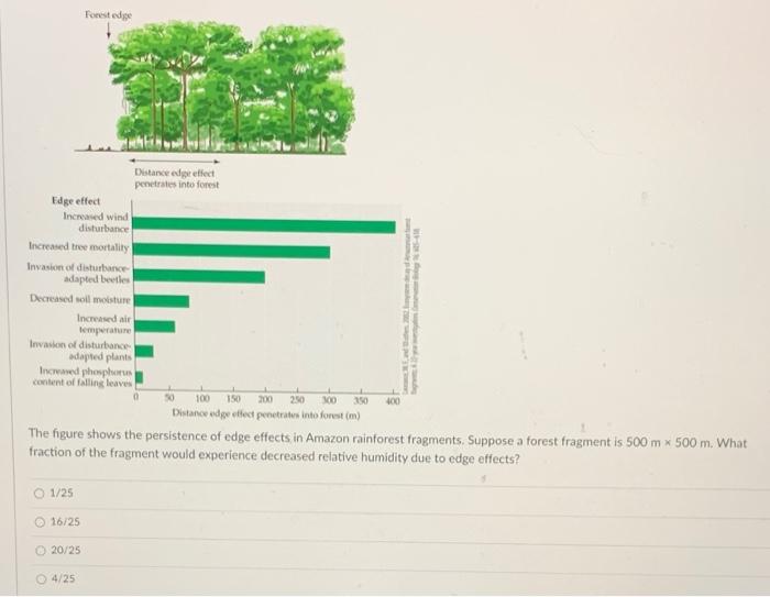 Solved Forest edge Distance or effect penetrates into forest | Chegg.com