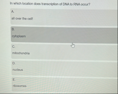 Solved In which location does transcription of DNA to RNA | Chegg.com