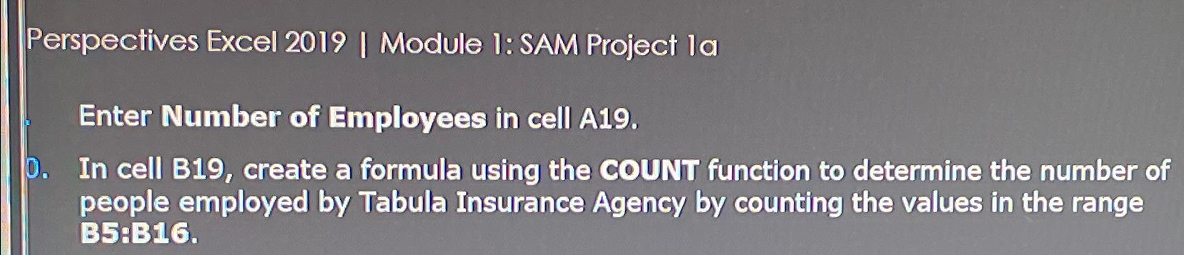 Solved Perspectives Excel 2019 | ﻿Module I: SAM Project | Chegg.com