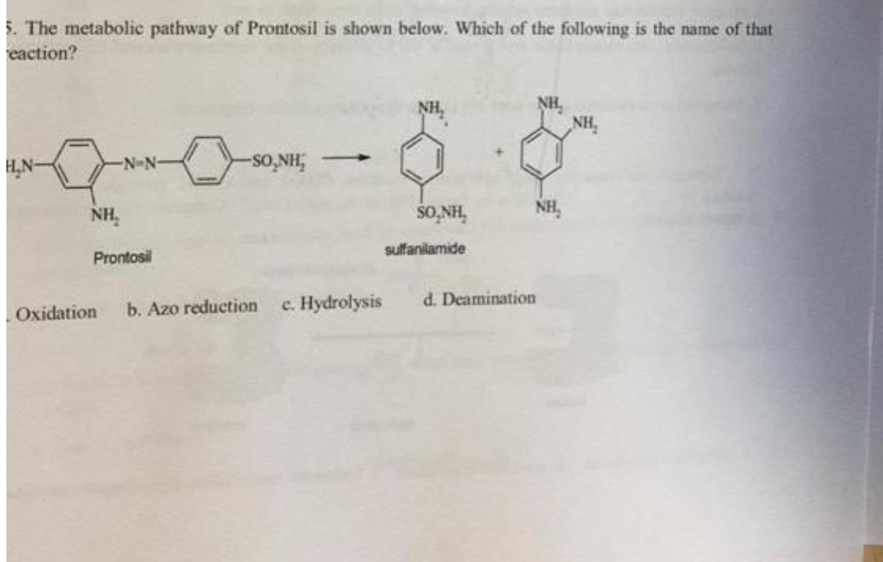 Solved The metabolic pathway of Prontosil is shown below. | Chegg.com