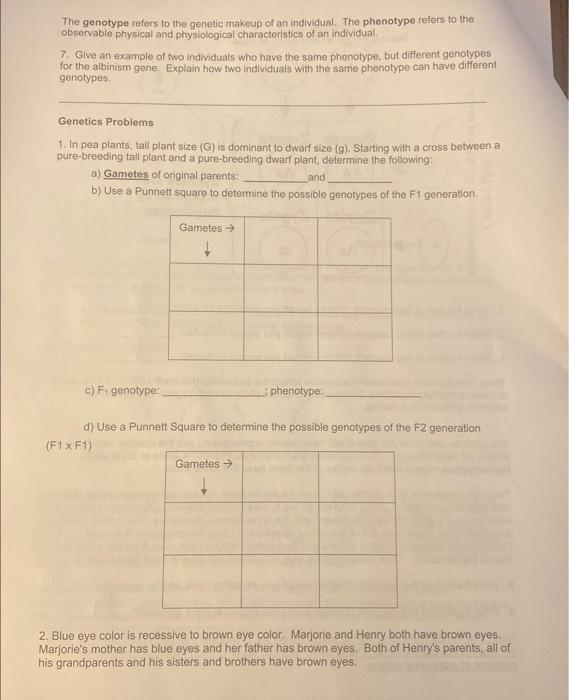Solved The genotype refers to the genetic makeup of an | Chegg.com