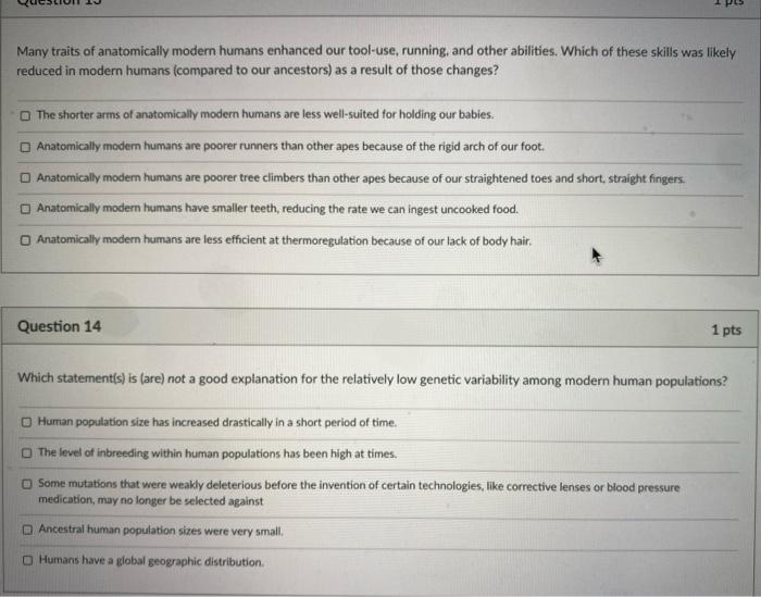 Solved Many traits of anatomically modern humans enhanced | Chegg.com