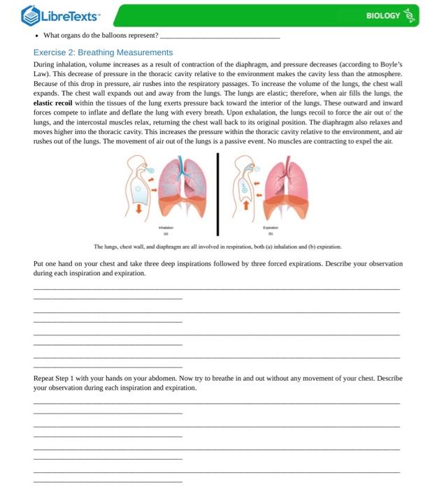 Solved LibreTexts BIOLOGY & • What organs do the balloons | Chegg.com
