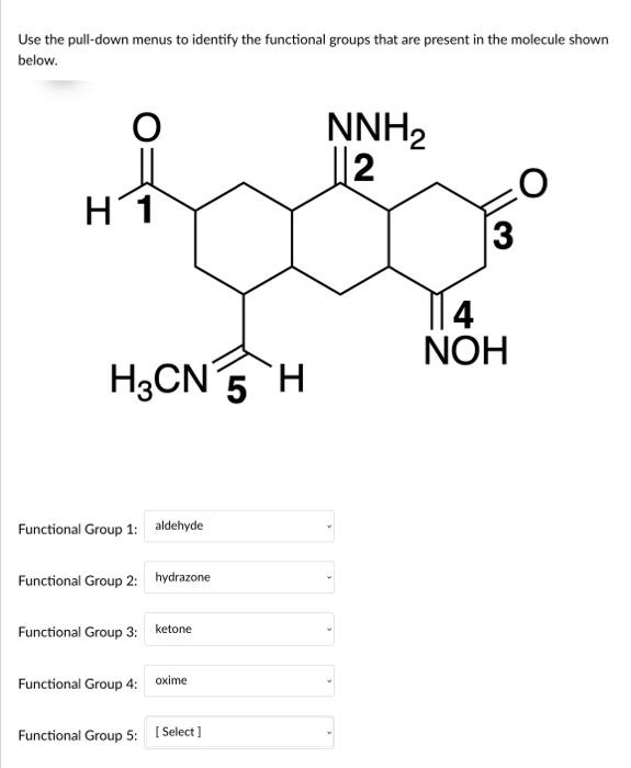 Solved Use the pull-down menus to identify the functional | Chegg.com