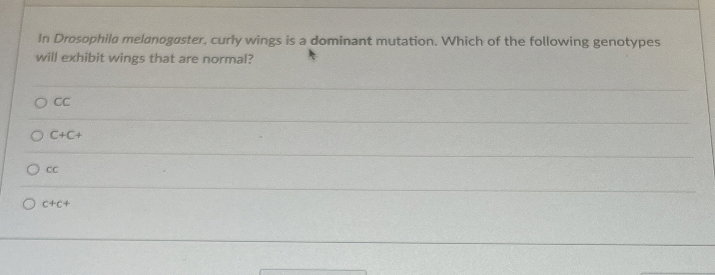 Solved In Drosophila melanogaster, curly wings is a dominant | Chegg.com