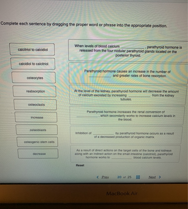 Solved Complete Each Sentence By Dragging The Proper Word Or Chegg Solved Complete Each Sentence By Dragging The Proper Word Or Chegg