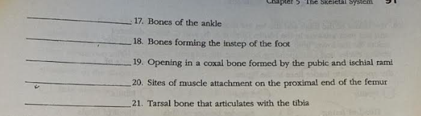 Solved Bones of the ankleBones forming the instep of the | Chegg.com