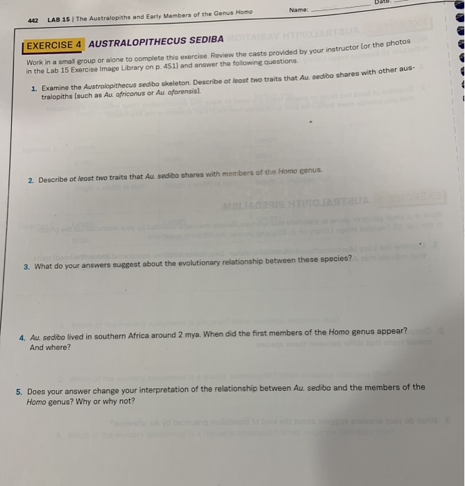 Solved Name: 442 LAB 15 The Australopiths and Early Members | Chegg.com