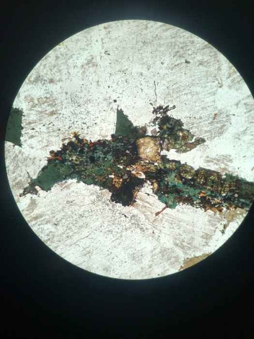 Solved Question 2: Describe the differences and similarities | Chegg.com