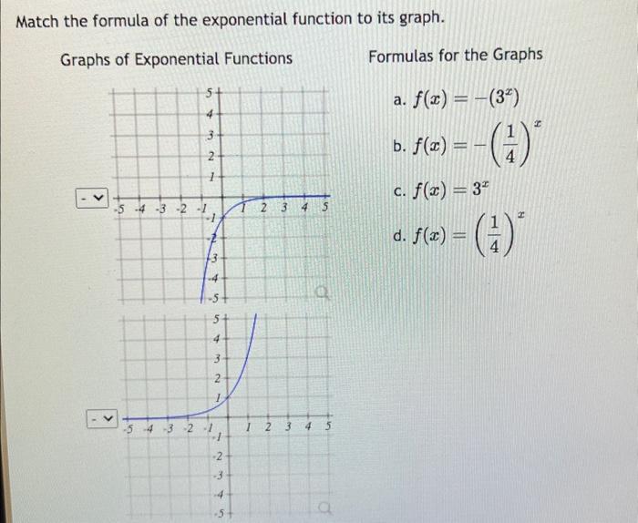 Solved Match the formula of the exponential function to its | Chegg.com