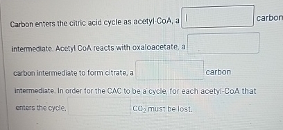 Solved Carbon enters the citric acid cycle as acetyl-CoA, a | Chegg.com