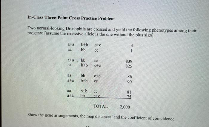 Solved In-Class Three-Point Cross Practice Problem Two | Chegg.com
