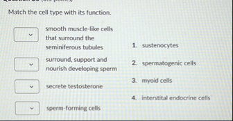 Solved Match the cell type with its function. ﻿surround, | Chegg.com