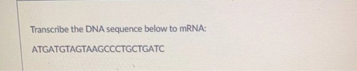 Solved Transcribe the DNA sequence below to mRNA: | Chegg.com