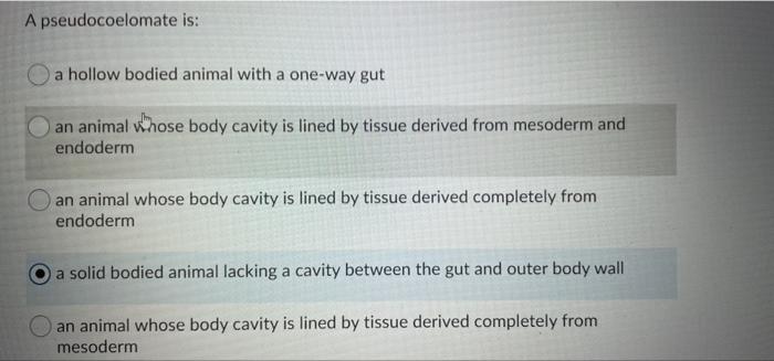 Solved A pseudocoelomate is: a hollow bodied animal with a | Chegg.com