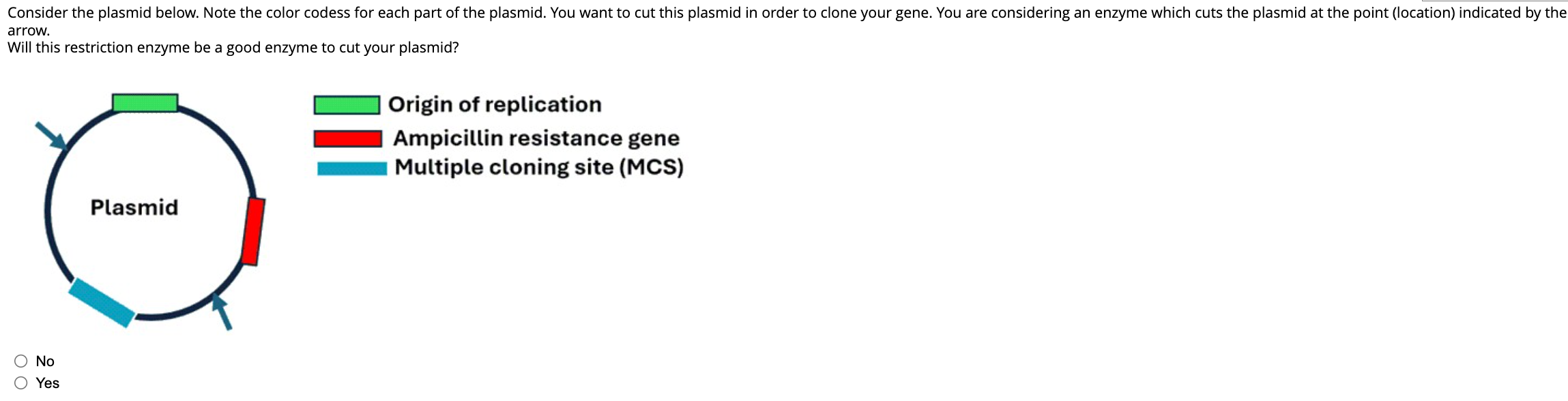 Solved Consider the plasmid below. Note the color codess for | Chegg.com