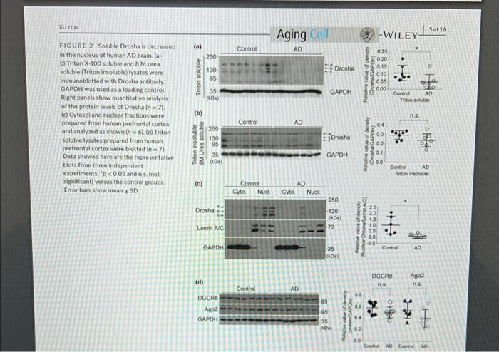 In Figure 2c, the authors performed subcellular | Chegg.com