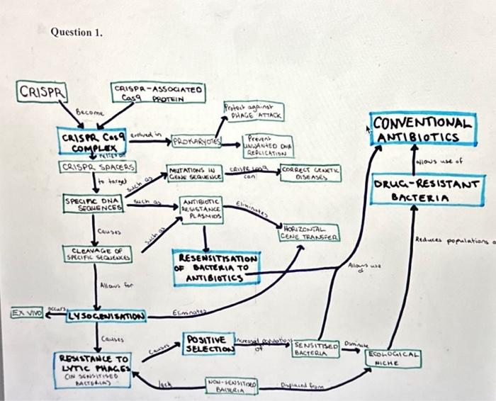 Question 1. | Chegg.com
