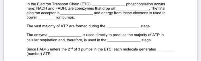 Solved Assignment 4: Cellular respiration worksheet Name: | Chegg.com