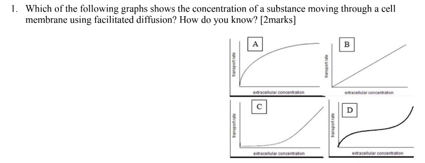 Solved Which of the following graphs shows the concentration | Chegg.com