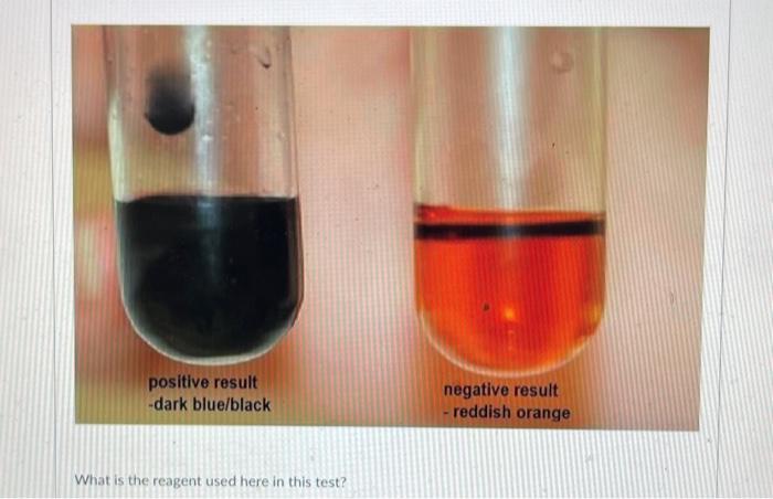 Solved What is the reagent used here in this test? | Chegg.com