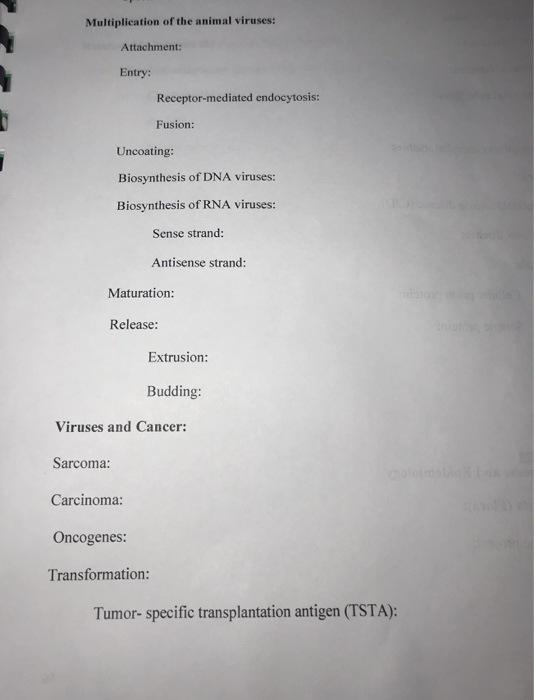 Solved Multiplication of the animal viruses: Attachment: | Chegg.com