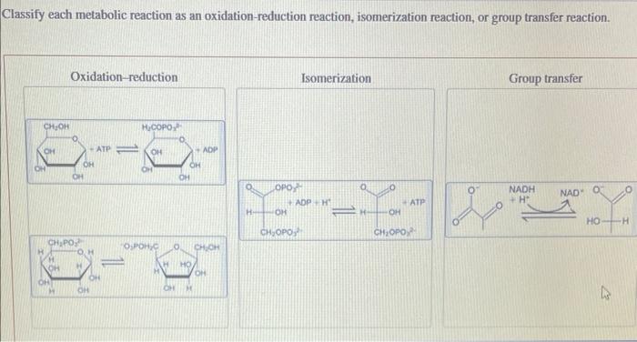 Classify each metabolic reaction as an | Chegg.com