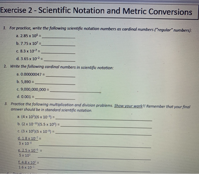 Solved Exercise 2 - Scientific Notation and Metric | Chegg.com