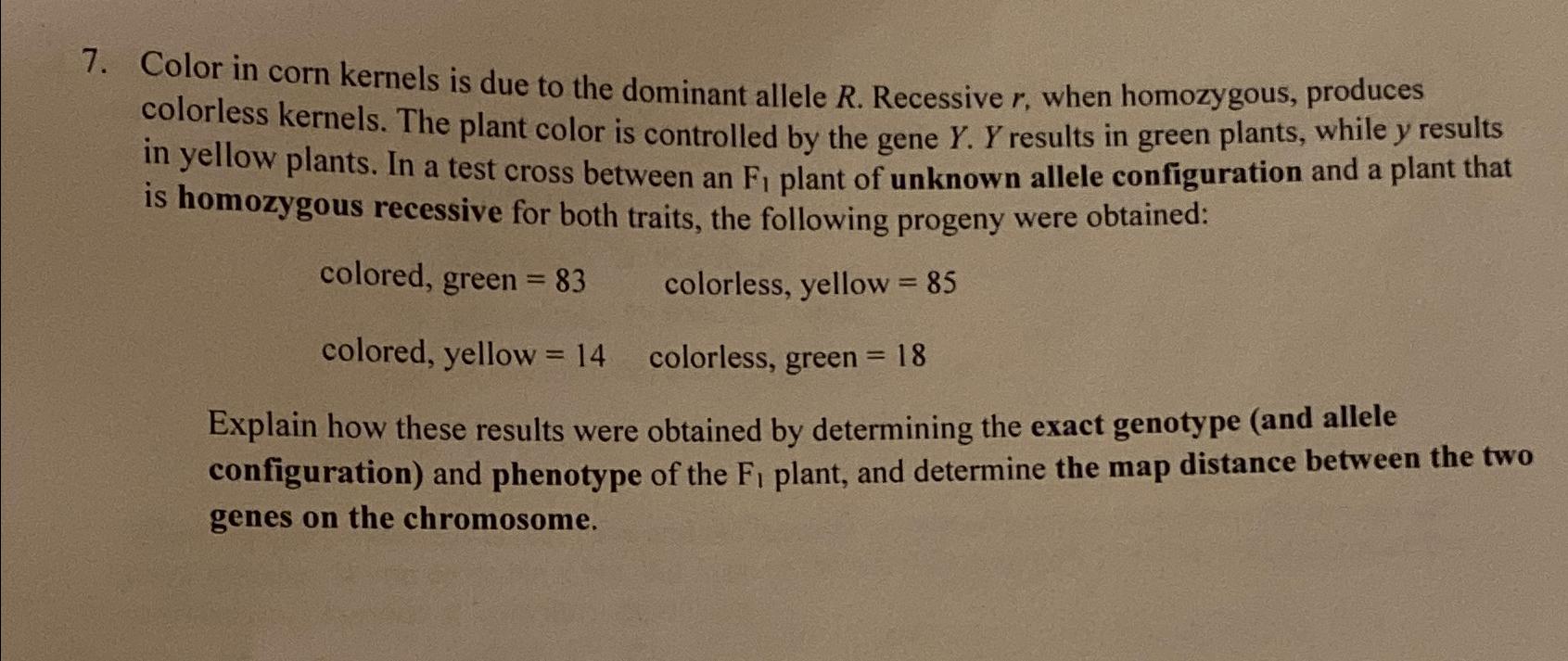 Solved Color in corn kernels is due to the dominant allele | Chegg.com