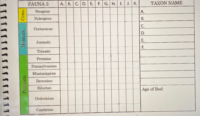 Exercise 12 Index Fossils and Depositional Sequences | Chegg.com