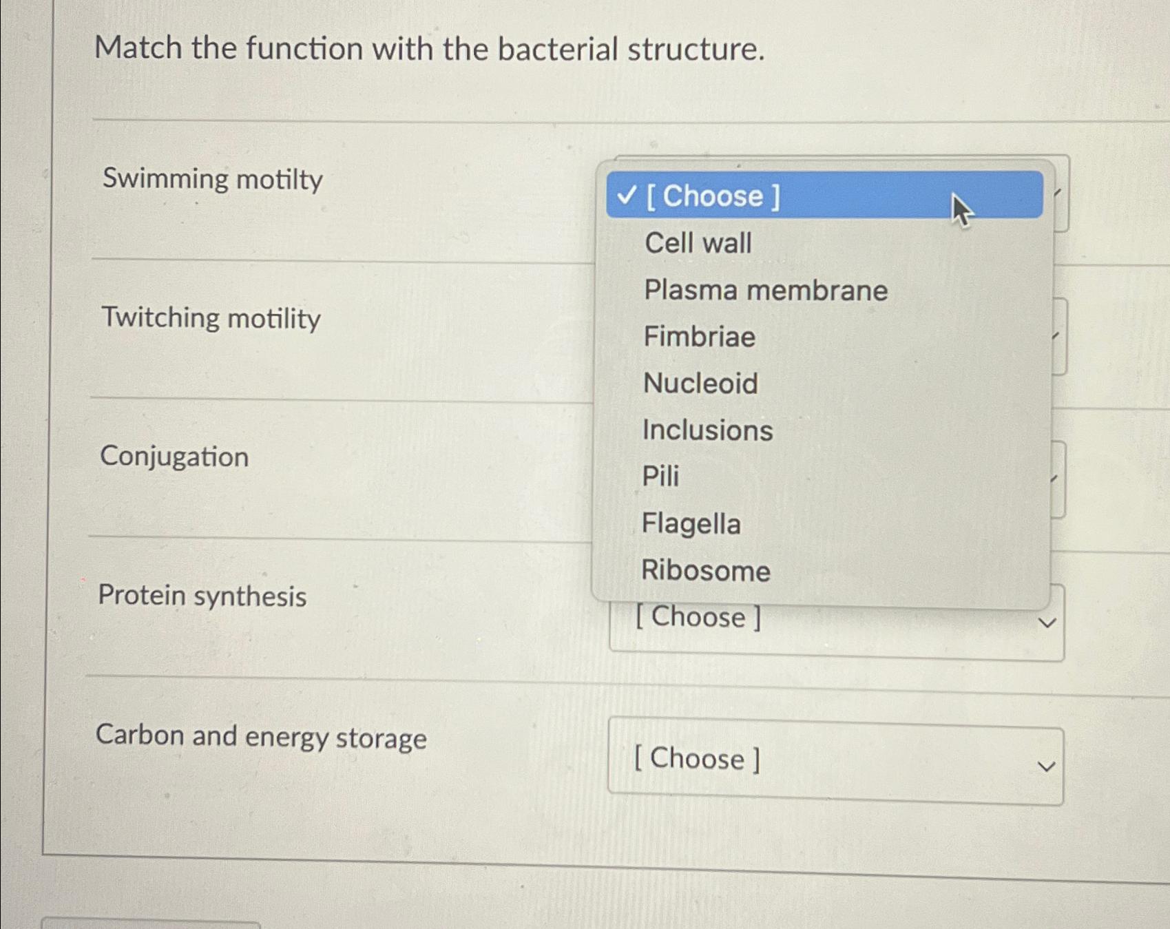 Solved Match the function with the bacterial | Chegg.com