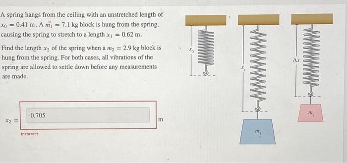 Solved A spring hangs from the ceiling with an unstretched | Chegg.com